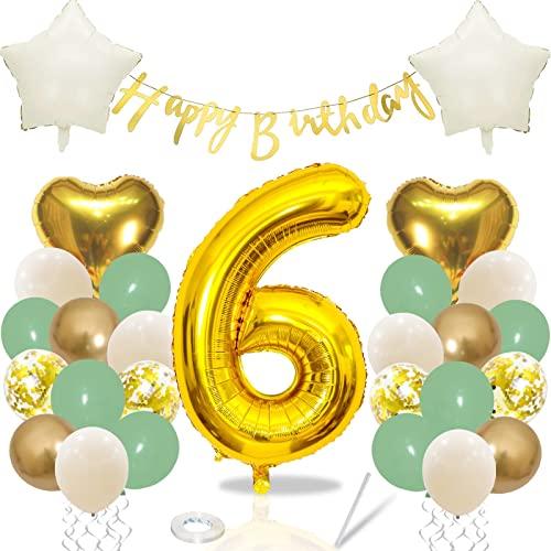 6th Birthday Decorations for Boys Girls, Sage Teslite