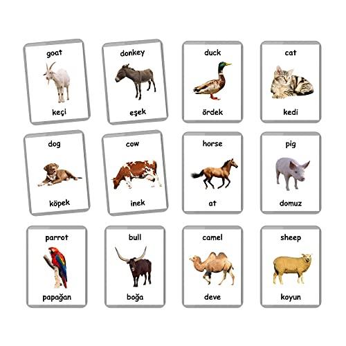 Farm Animals Flash Cards - 27 Laminated Flashcards Generic