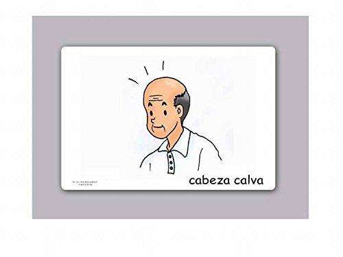 Tarjetas de vocabulario - Describiendo Yo-Yee Flashcards