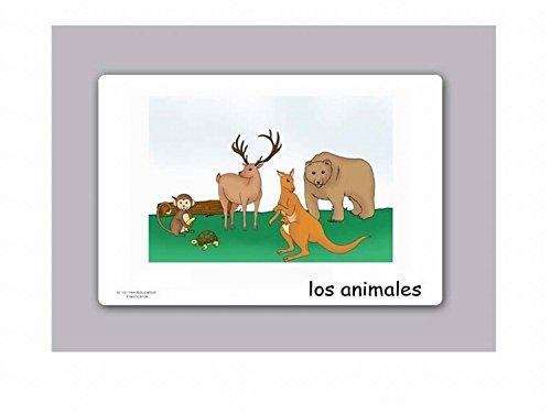 Tarjetas de vocabulario - En el zoológico - Zoo Animal Flash Cards in ...
