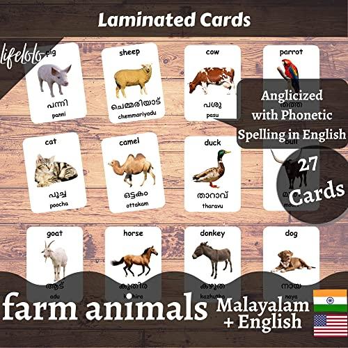 Farm Animals Flash Cards - 27 Laminated Flashcards | Homeschool ...