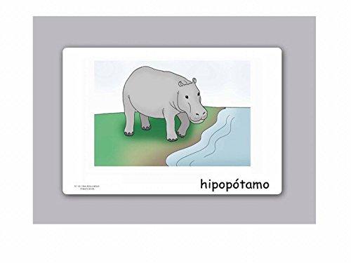 Tarjetas de vocabulario - En el zoológico - Zoo Animal Flash Cards in ...