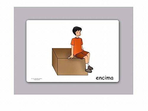 Tarjetas de vocabulario - Preposiciones Yo-Yee Flashcards