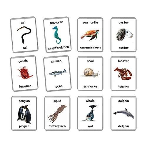 Sea Animals Flash Cards - 26 Laminated Flashcards Generic