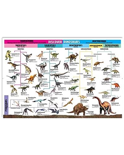 Dinosaur Knowledge Infographic Metal Signs JIUFOTK